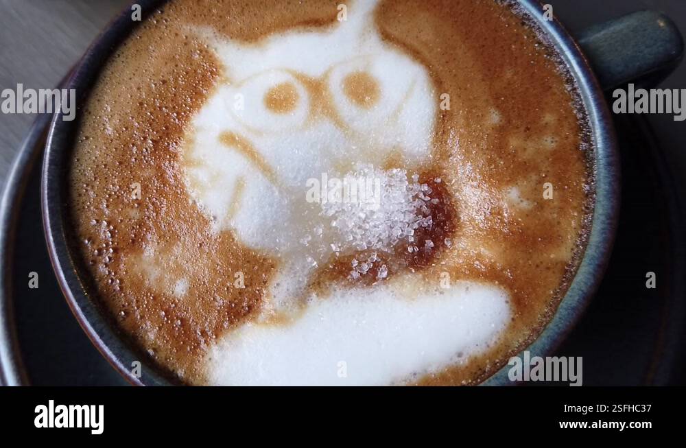 Melting white sugar on owl shape on a cup of coffee Stock Video Footage ...
