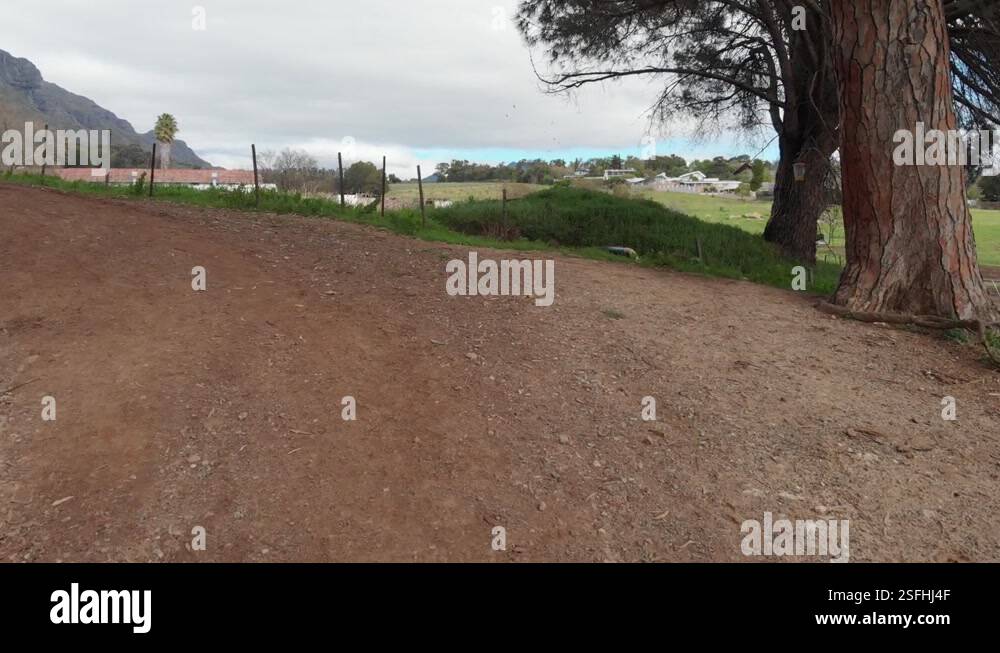 A shot moves up from a sand path to reveal a wetland area, approaching ...