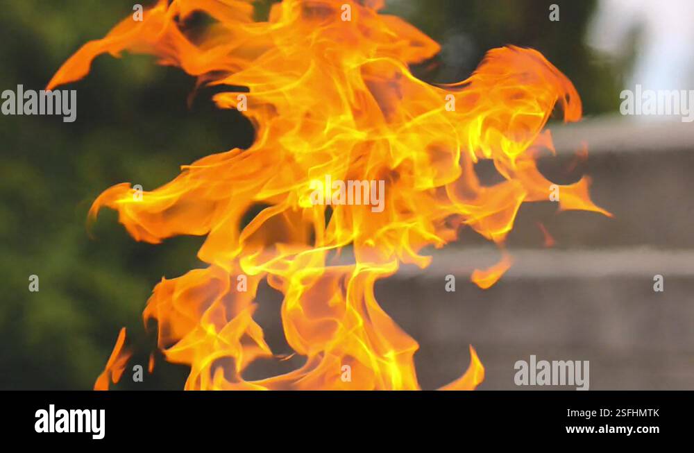 The flame of eternal flame at the memorial in memory of the fallen ...