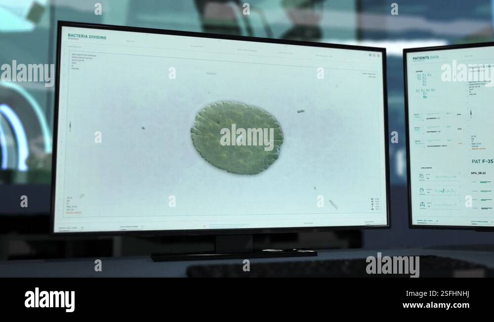 Biology Science Study Of Bacterial Division In Innovative Microscopic Software Stock Video ...