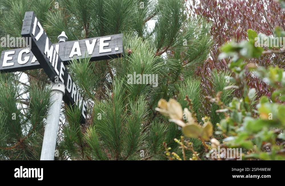 Scenic 17-mile drive wooden road sign, California. Coastal tourist road ...