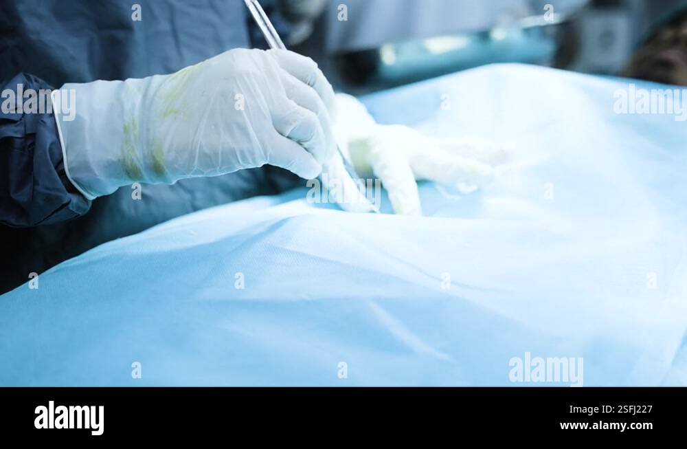 close up shot surgeon hands cutting skin of patient using scalpel at ...