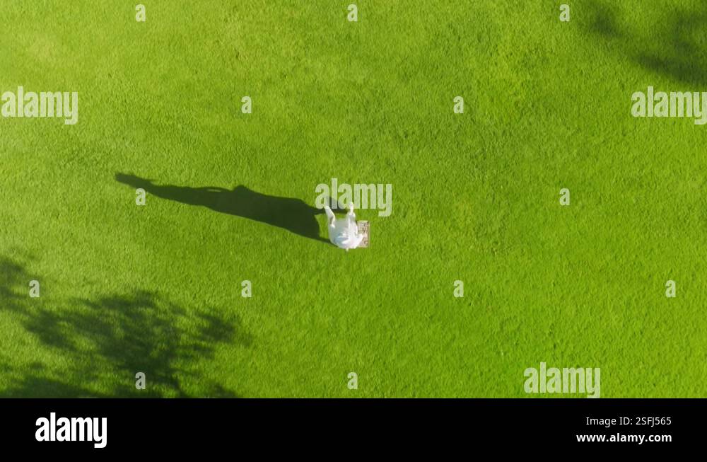 4K Aerial top-down drone footage Long female shadow from golden ...