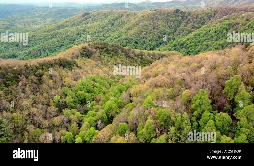 Appalachian spring Stock Videos & Footage - HD and 4K Video Clips - Alamy