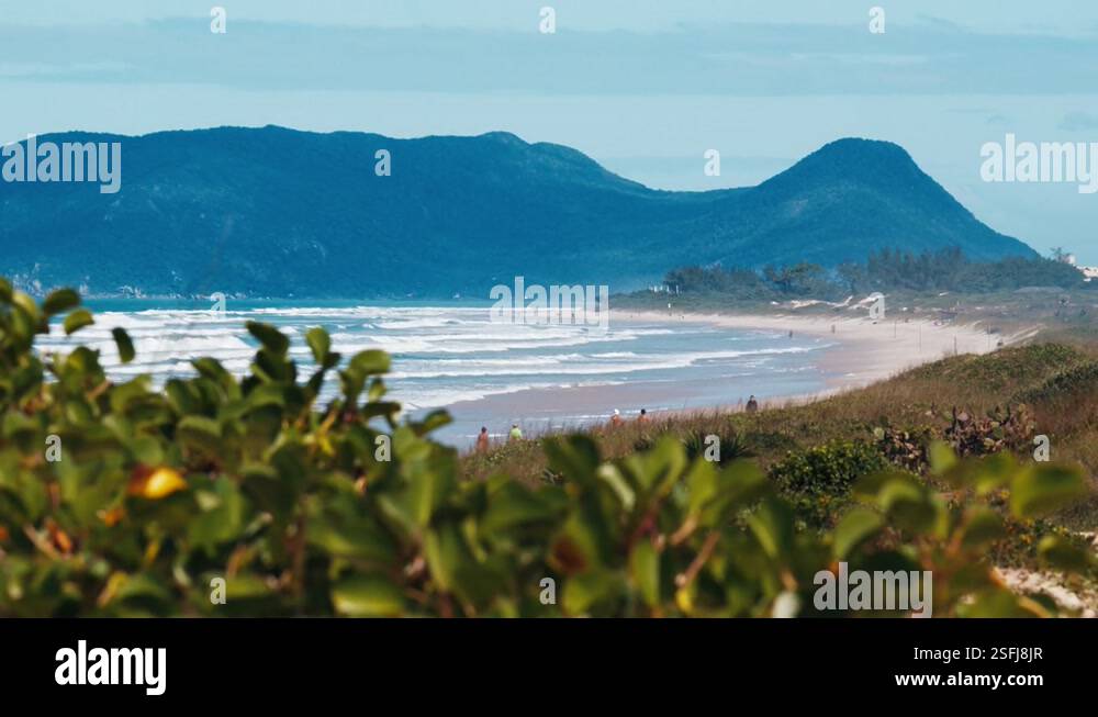 Brazilian coastline. Sandy beach with rolling waves with foam. Atlantic ...