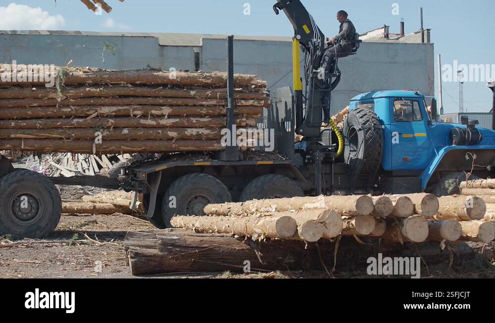 Forwarder Forestry Equipment Picks Logs From Cargo To Place Them In ...