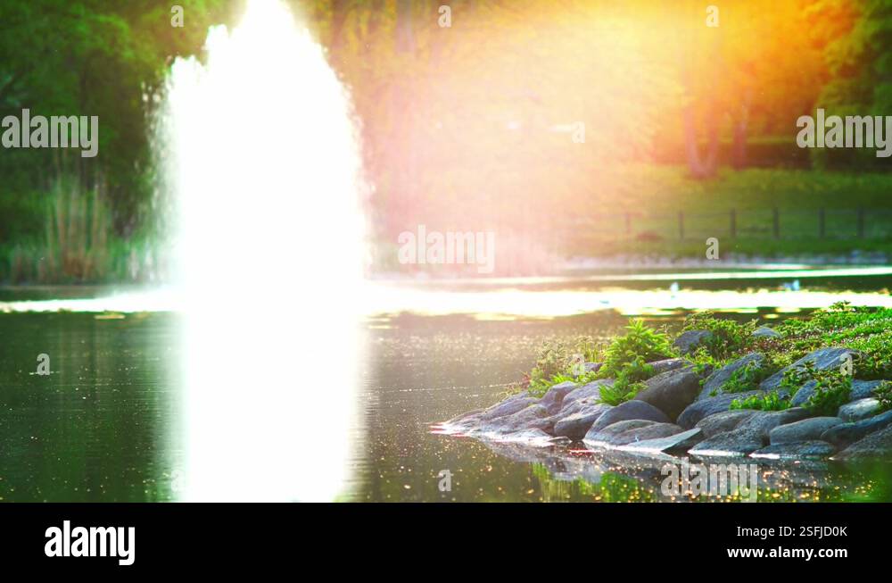 Waters plash in the park Sunlight splash Nature trees, flowers ...