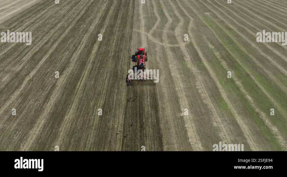 Tractor sowing seeds with seeder driller in field. Process of sowing ...