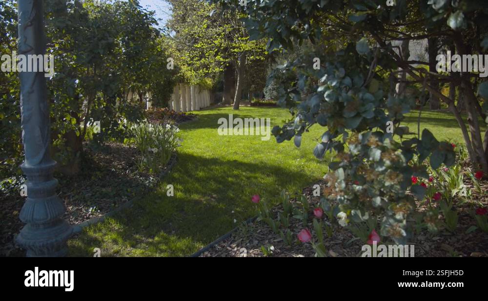 Peaceful garden scene in sunny day with breeze. Slow pan left Stock ...