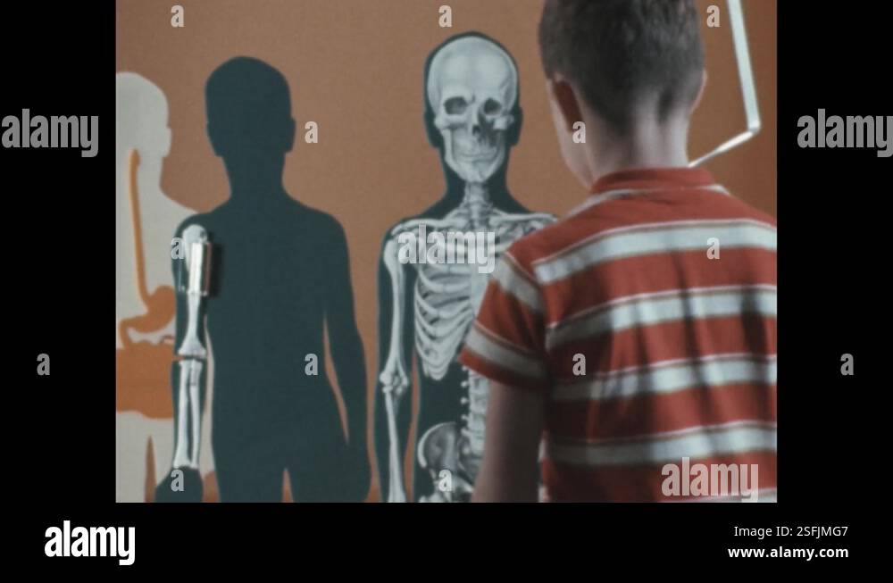 1960s: Boy looks at models of various body systems, starting with a ...