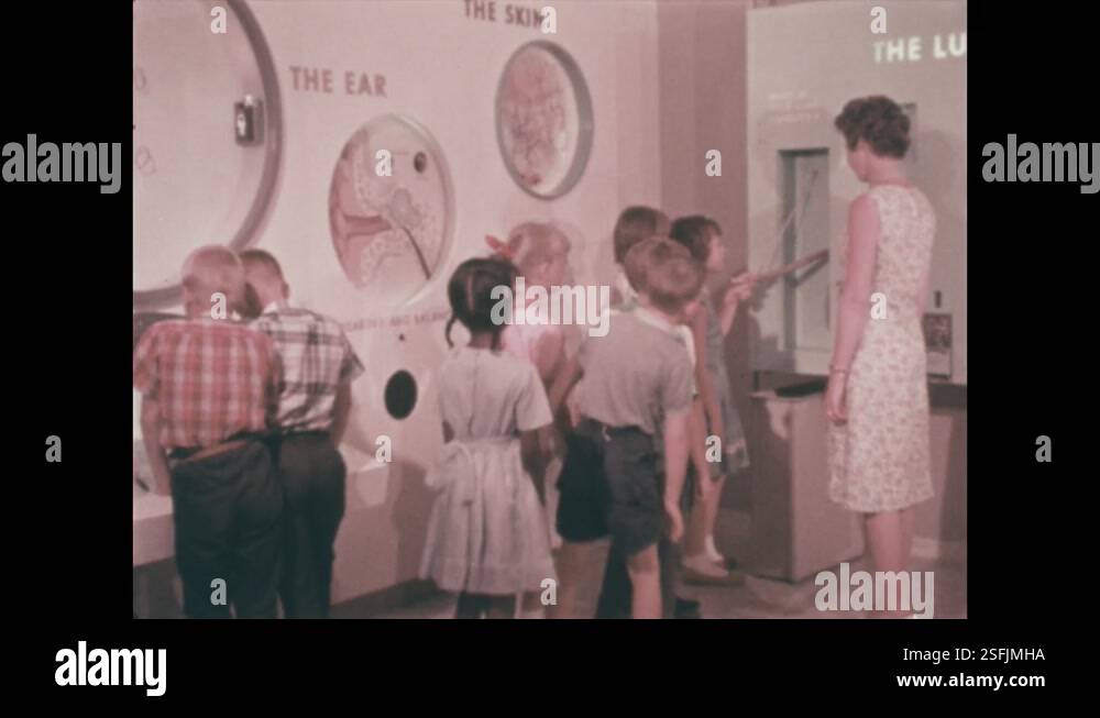 1960s: interactive display of the human ear and structure. Teacher and students Stock Video ...