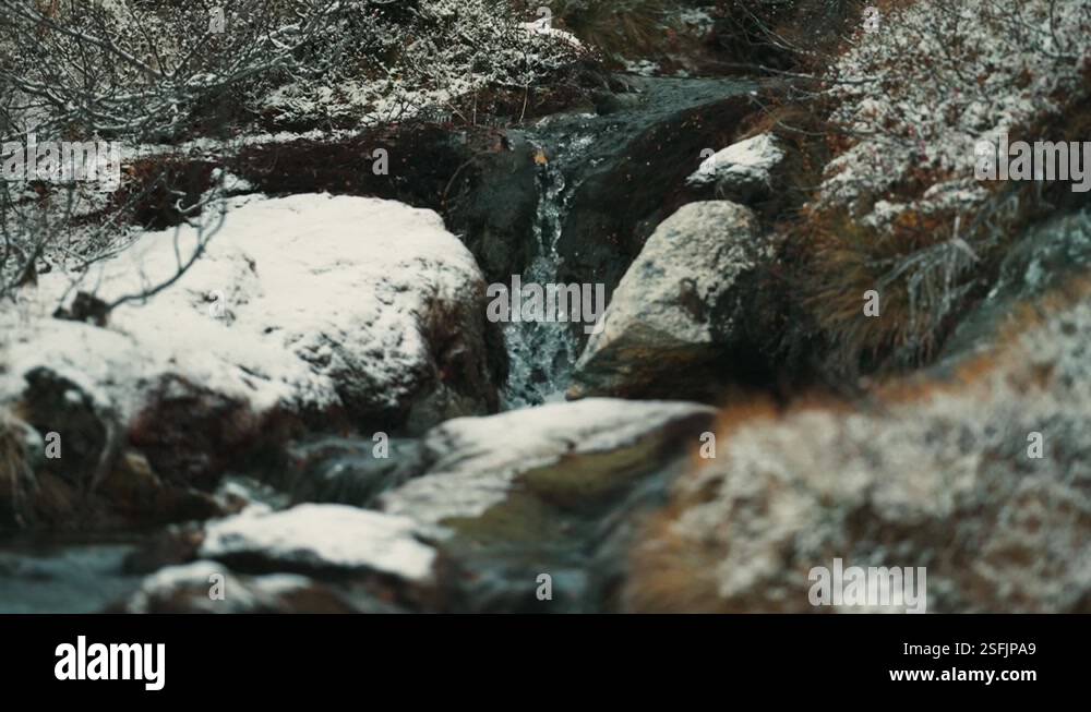 The first snow covers the stones bushes and withered grass on the banks ...