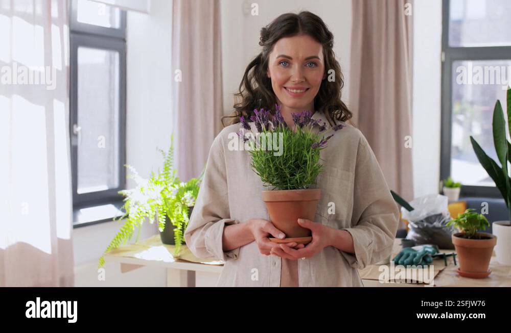 Happy flower pot Stock Videos & Footage - HD and 4K Video Clips - Alamy