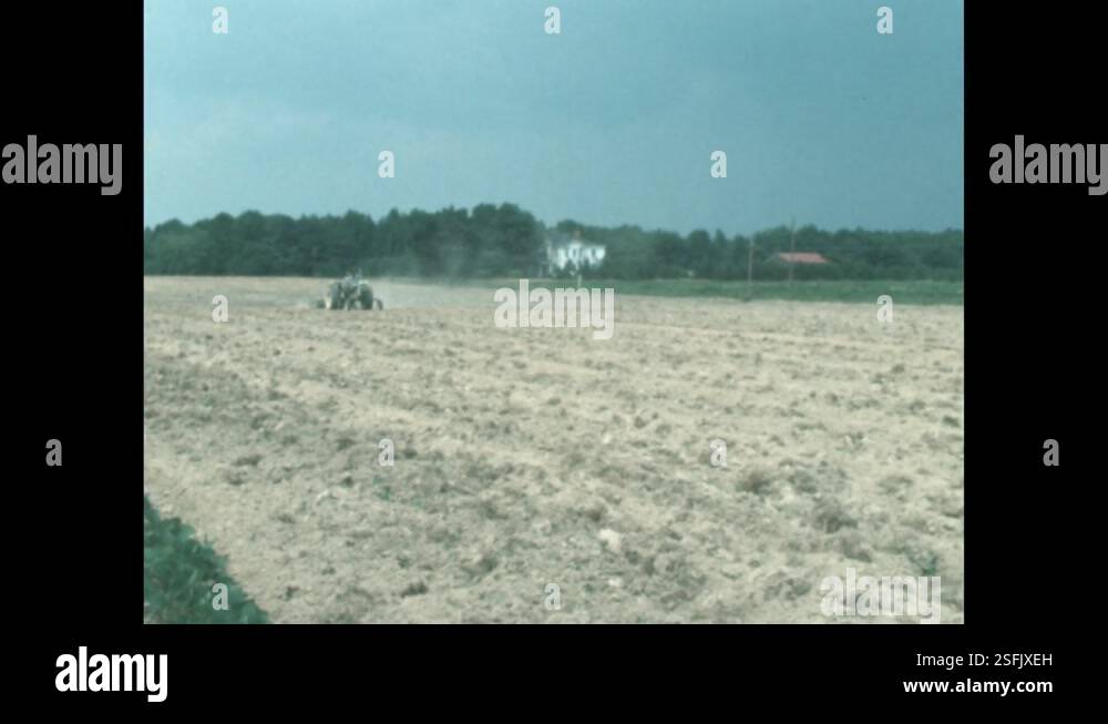 1960s: farms ploughs crops in field in summer. Harvest time work on ...