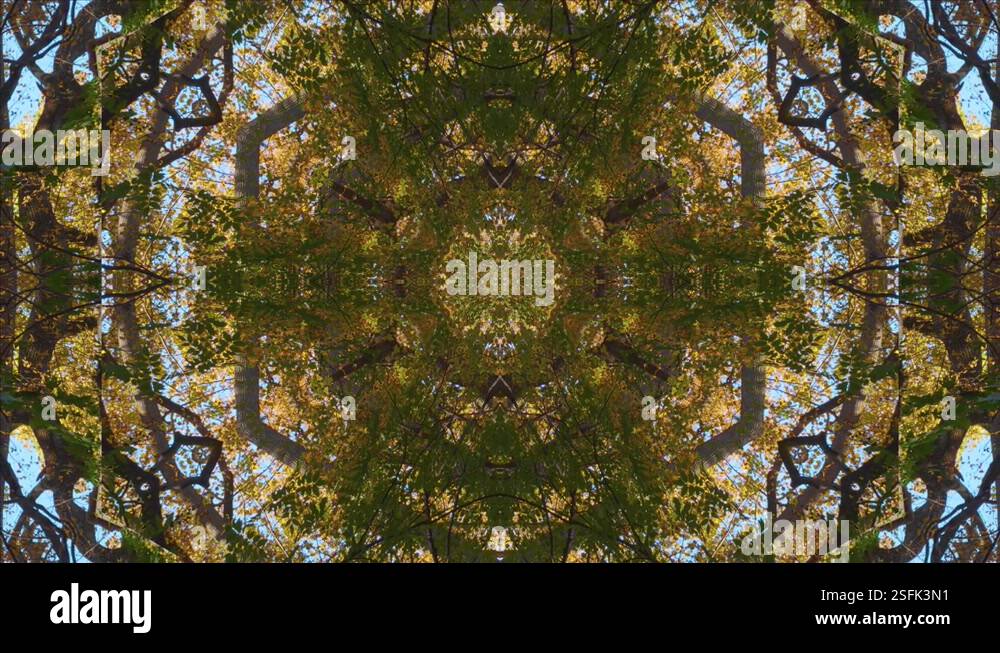 Nature Kaleidoscope, Looping, 60fps, Wissahickon Creek Scenery #4 Stock ...