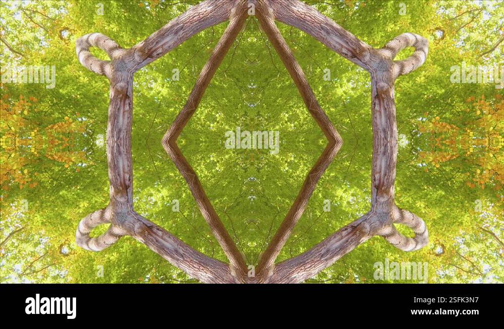 Nature Kaleidoscope, Looping, 60fps, Wissahickon Creek Scenery #17 ...