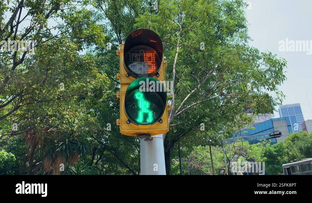 Green Animation Of Person Walking On Traffic Light With Countdown Timer ...