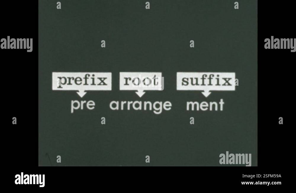 1960s: Word split into parts, prefix, root, suffix highlighted Stock Video Footage - Alamy