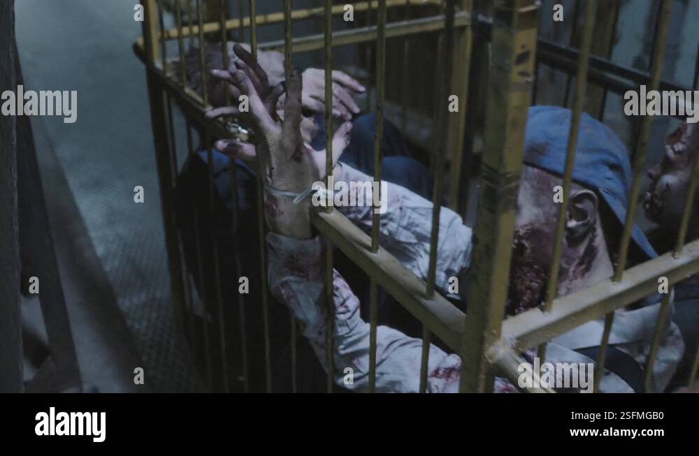 Cage trolley Stock Videos & Footage - HD and 4K Video Clips - Alamy