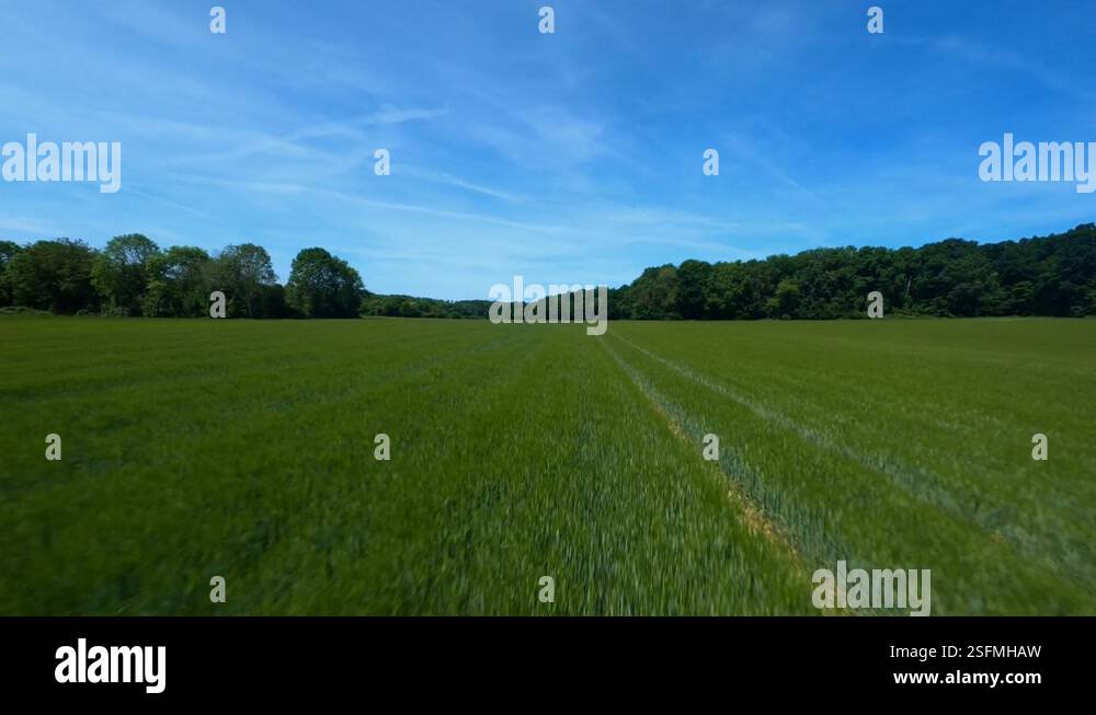 FPV DRONE SHOT - Flight close to the green field Stock Video Footage ...