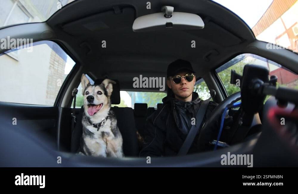 Man dog passenger Stock Videos & Footage - HD and 4K Video Clips - Alamy