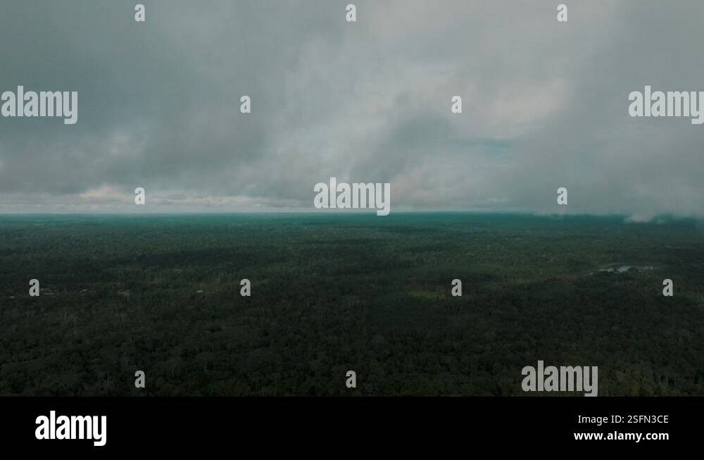 Cloudscape Over Tree Canopy At Tropical Forest Of The Amazon Ecuador Stock Video Footage - Alamy