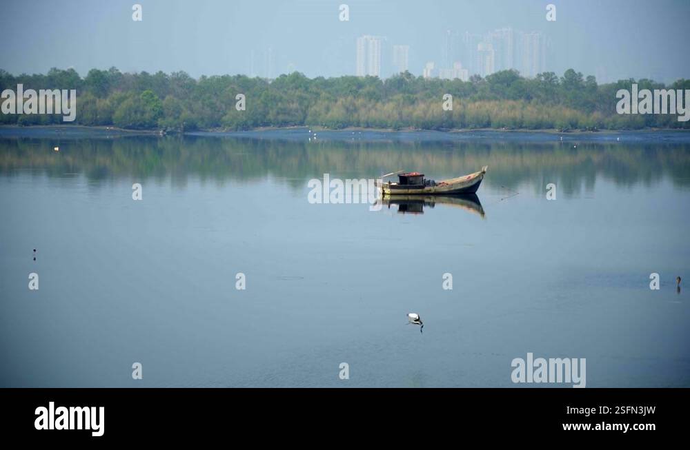 Mumbai migration Stock Videos & Footage - HD and 4K Video Clips - Alamy