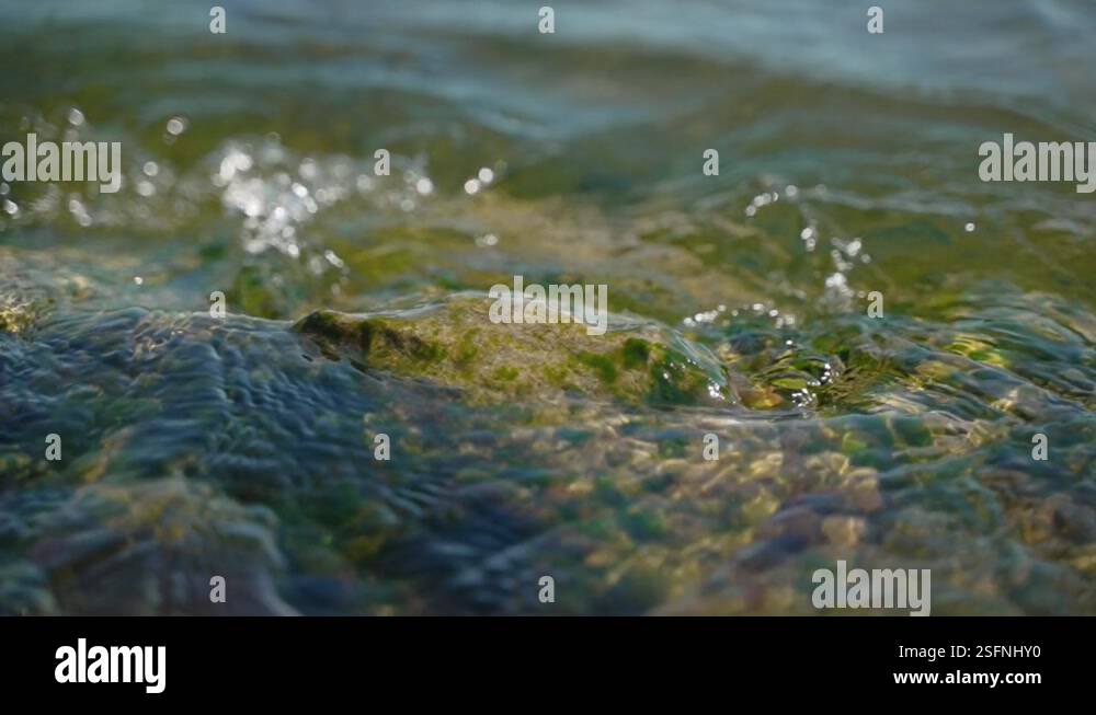 Water levels rising, rippling and dropping around a moss-covered rock ...