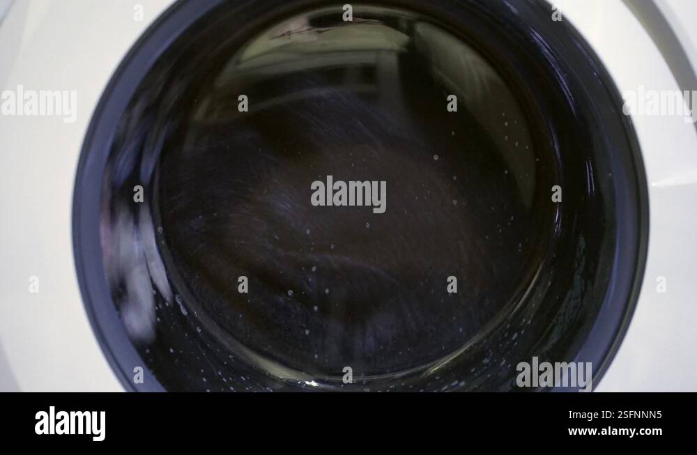 Start of a spin cycle in a laundry washing machine with clothing inside ...