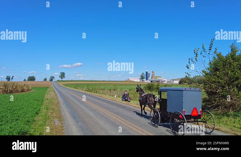 An Amish Horse and Buggy Trotting Down a Country Road Passing Farms, in ...