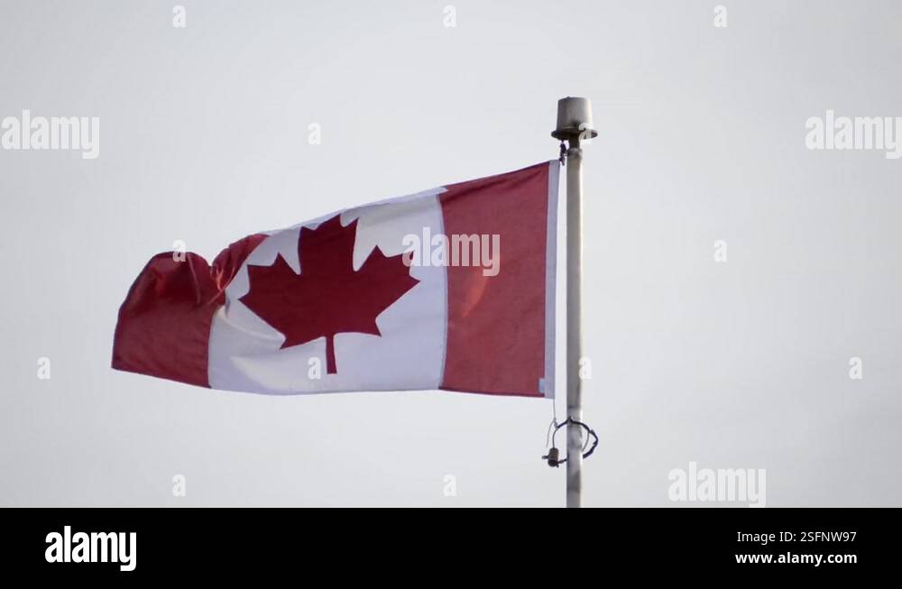 Canadian Flag Waving in the Wind, Static Stock Video Footage - Alamy