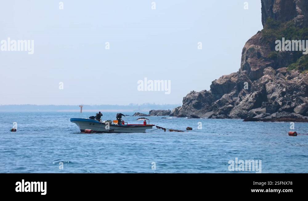 divers are jumping into the sea to catch some sea creatures from the ...
