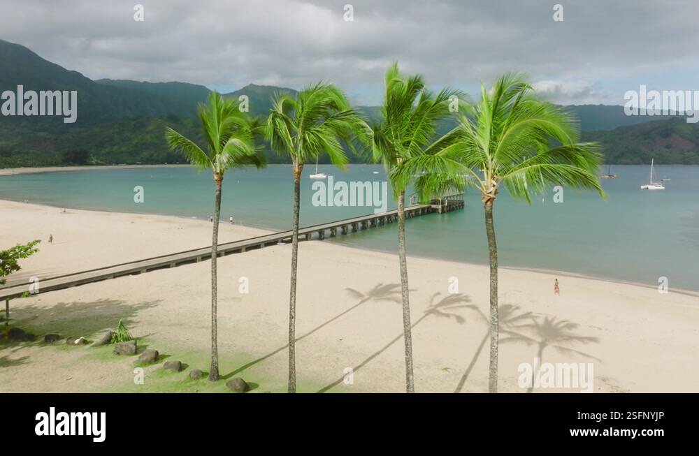 Scenic Hanalei beach pier, slow motion aerial 4K vibrant green palm ...