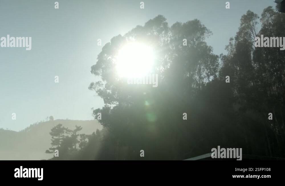 Sun beaming through evergreen trees Stock Videos & Footage - HD and 4K ...