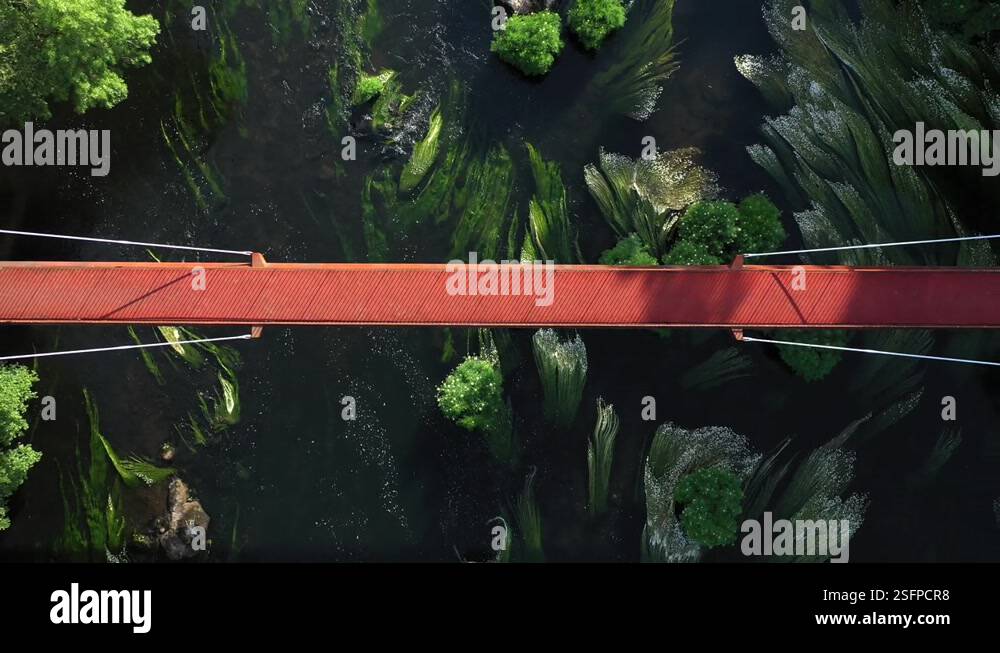Vertical Top Down of Ximonde Bridge over River Ulla, Slowly Ascending ...