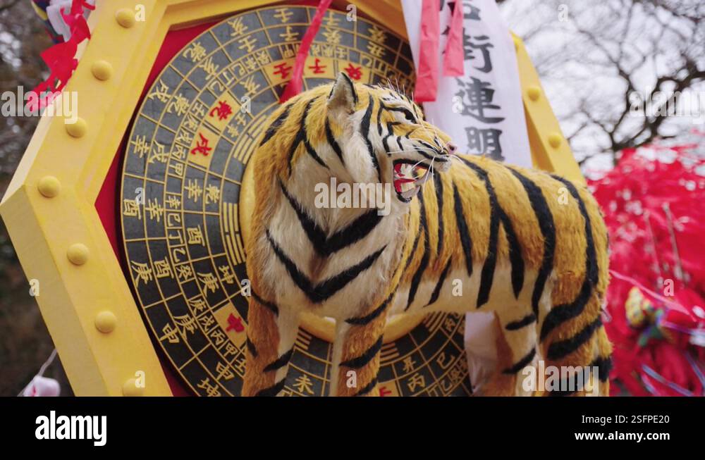 Year of the Tiger Mikoshi Float on display at Sagicho Matsuri Festival ...