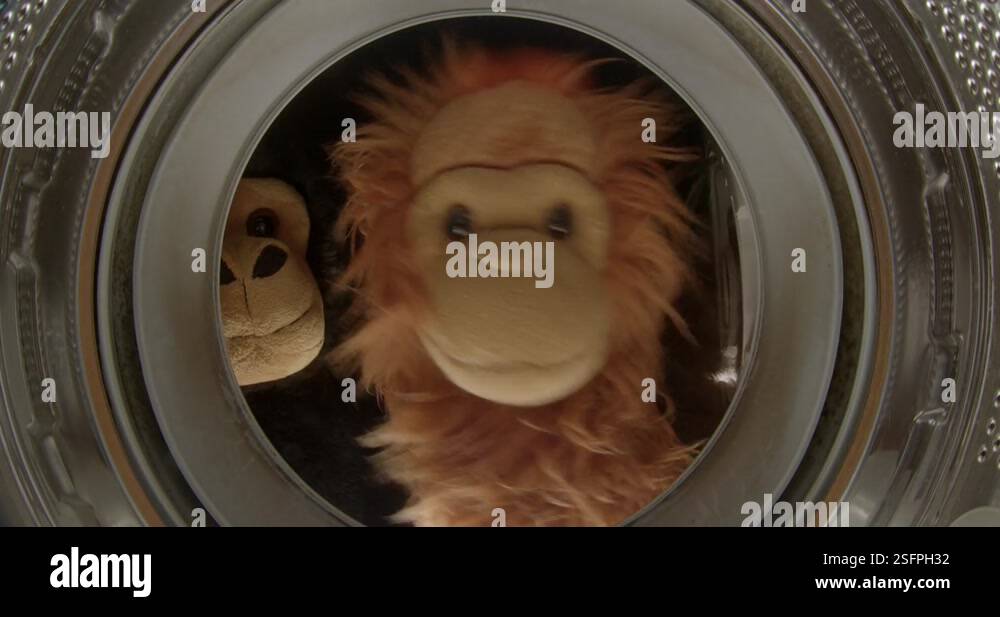 Two soft toy monkeys peek into the washing machine. Preparing to home ...
