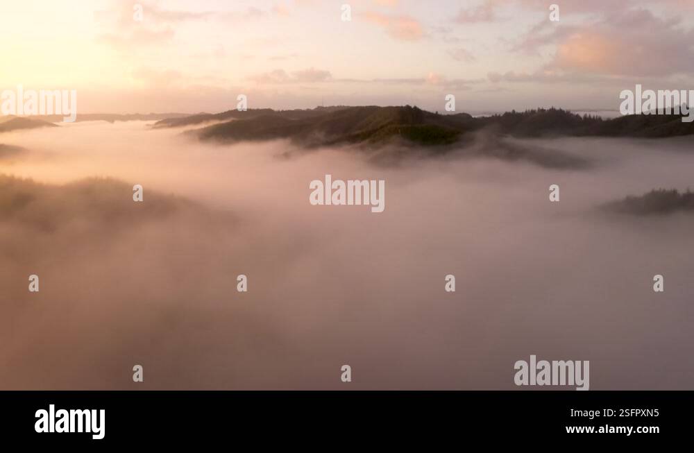 Log fog over Oregon forest at sunrise. Cinematic 4k drone flight Stock ...