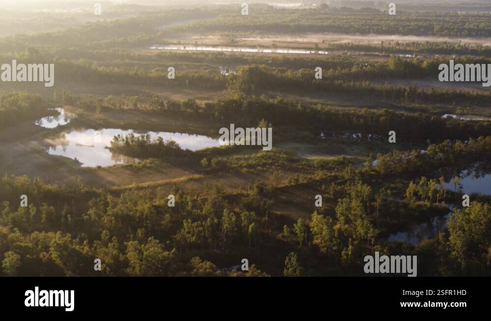 Aerial drone shot slowly flies over the wet woodlands of a river delta ...