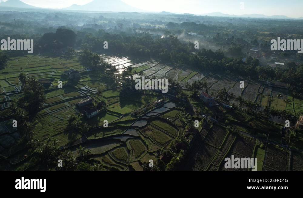 Bali countryside at north of Ubud town in early morning, harvested rice ...