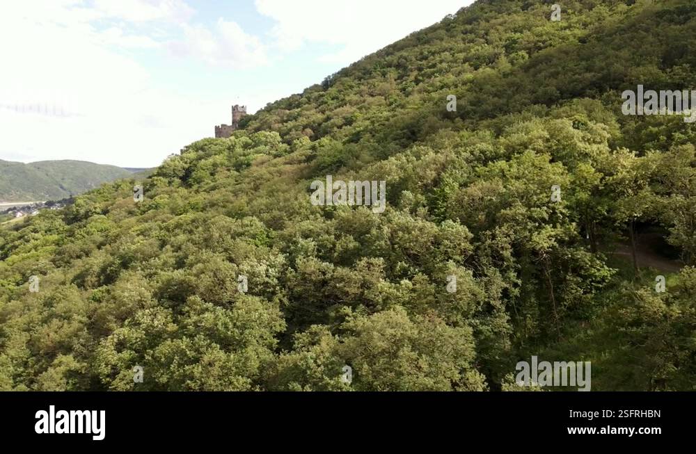 Ancient European hillside castle revealed behind a lush deciduous ...