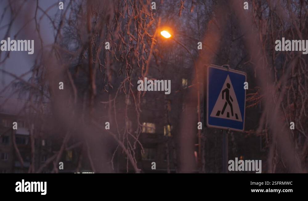 Evening urban landscape. A street lamp is on, a pedestrian crossing ...