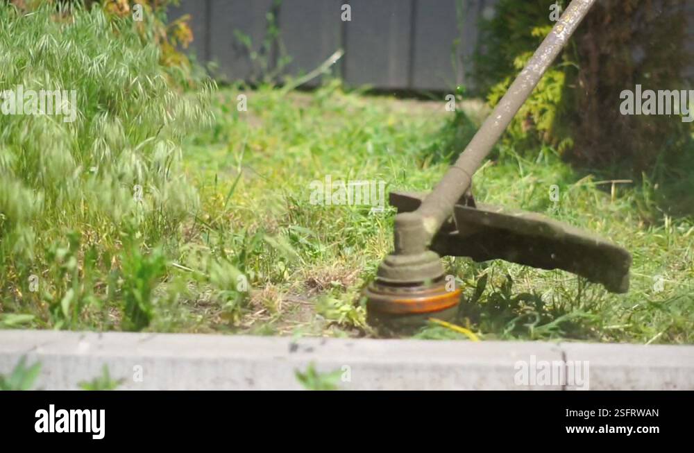 Close up lawn string trimmer cutting grass at the backyard. Summer lawn care Stock Video Footage ...
