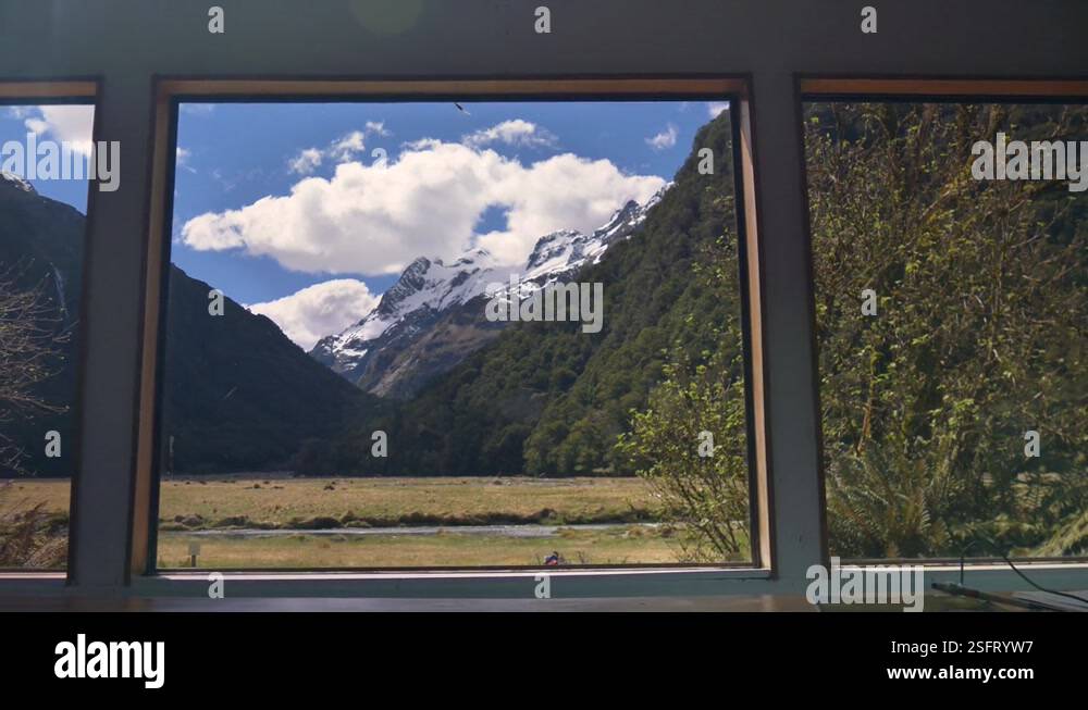 Shelter windows Stock Videos & Footage - HD and 4K Video Clips - Alamy