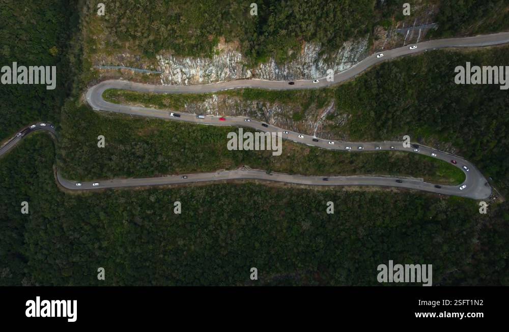 Winding road in High mountain Pass Through Dense Green Pine Woods ...