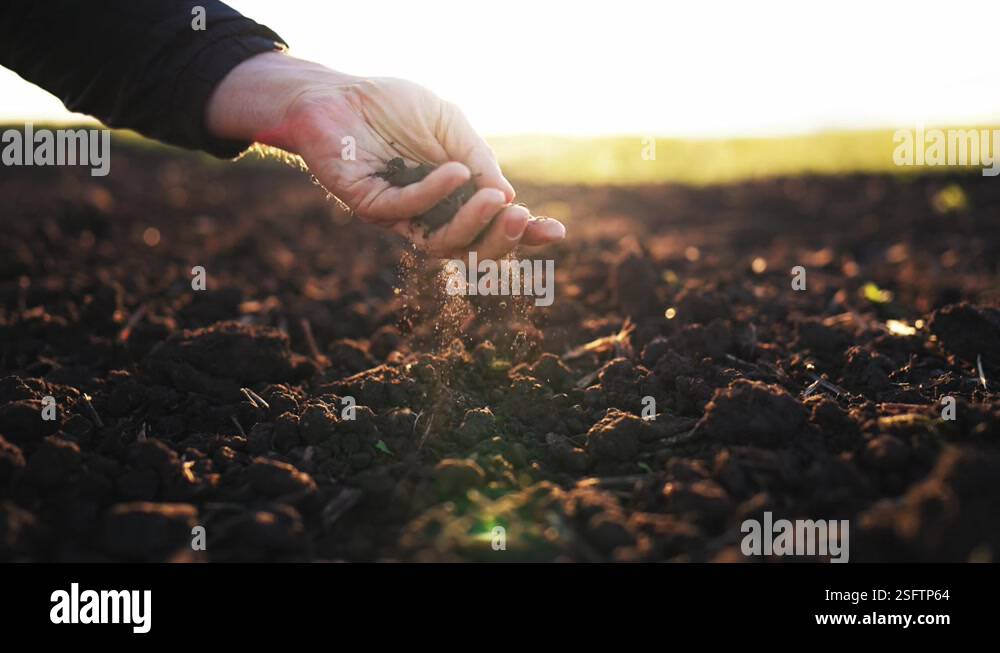 Farmer hand scooping dirt on a field at sunset. Man grabbing the soil ...