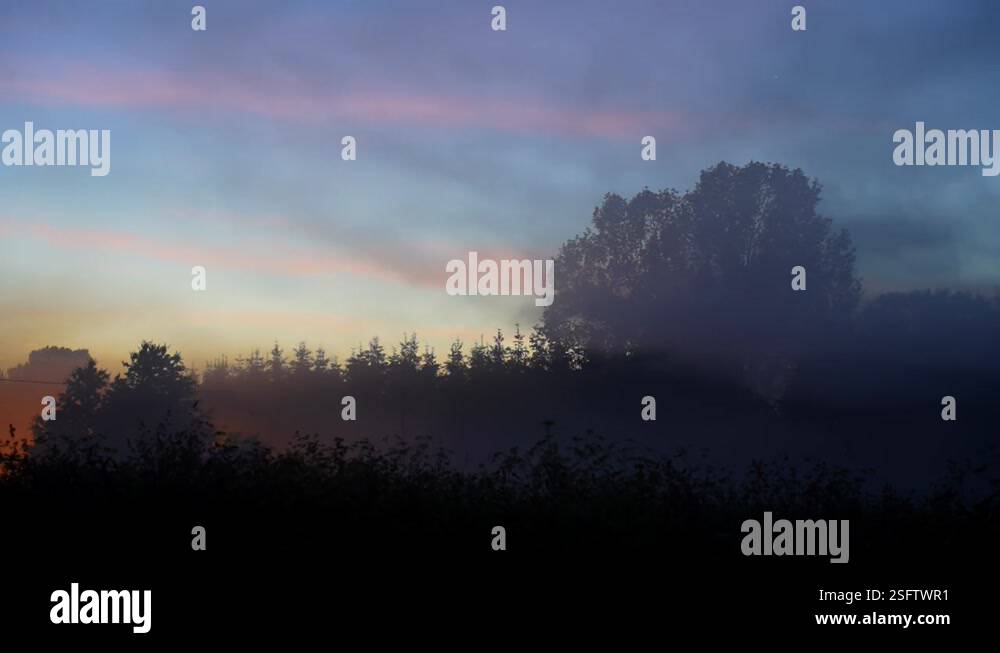 Morning mist timelapse moving over land in Sweden, Sunrise Colors in ...