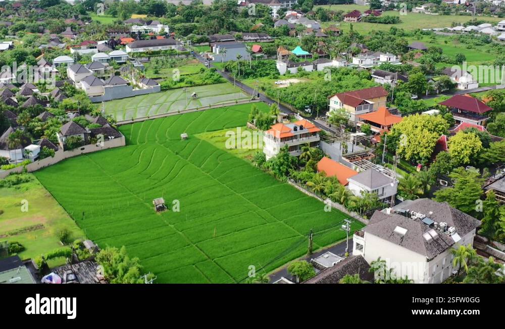 beautiful tropical green rice field in Berawa Bali on cloudy day ...