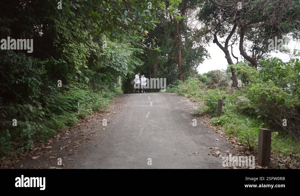 Handsome gay men walking on asphalt road holding hands on the tropical ...