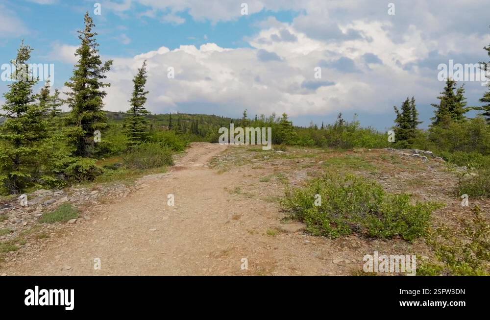 4K Drone Video of Wickersham Dome Hiking Trail in the White Mountains ...